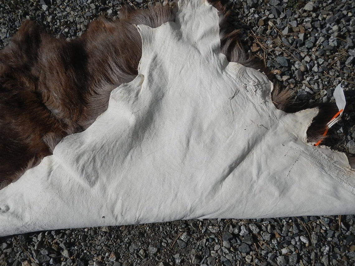 One Average Domestic Goat Hide Hide Soft Tanned Assorted | Etsy