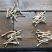 Bag of 10 Domestic Rabbit Radius Bones Real Bones Stock - Etsy