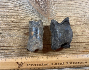 Lot of 4 Fossil Bison Toe Bones Nebraska Lot No. 190714-UU - Etsy