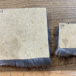 Muskrat Hair on Hide Piece - Choice of Size - Stock No. FUR-54 - Etsy