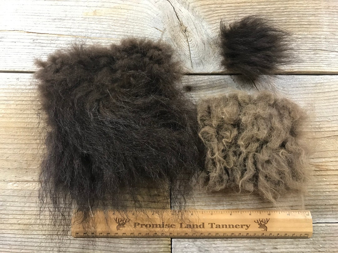 Bison Hair on Hide Piece - Choice of Size - Stock No. FUR-68 - Etsy