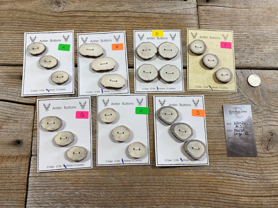 Moose Antler Buttons Large-extra Large Buttons Choice of Card Lot No ...