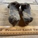 Lot of 2 Fossil Bison Calcaneus Bones - Nebraska - Lot No. 211028-T - Etsy