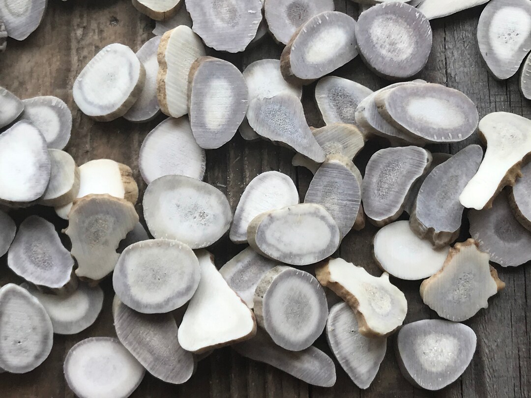 Deer Antler Slices - Medium Size - Choice of Bag Size - Stock No ...