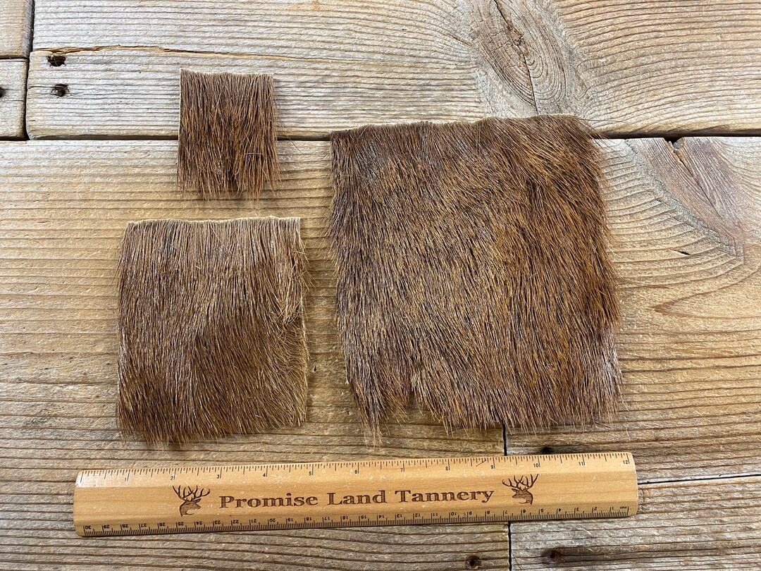 Red Stag Deer Body Hair on Hide Piece - Choice of Size - Stock No. FUR ...