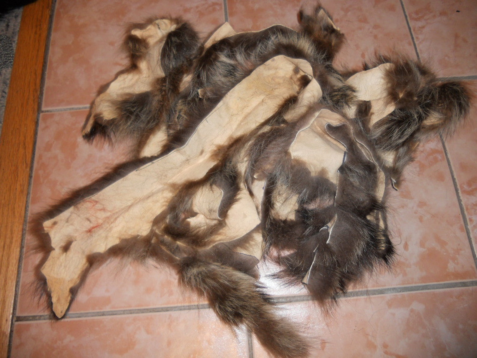 Salvaged Raccoon Fur Scraps Real Fur Pieces Half Pound Bag - Etsy