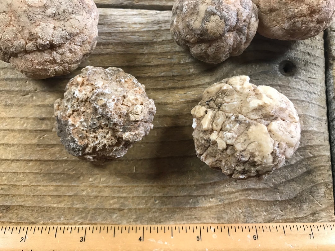 Natural Uncracked Geode Pieces - 2 Small Pieces - Real Crystals - Stock ...