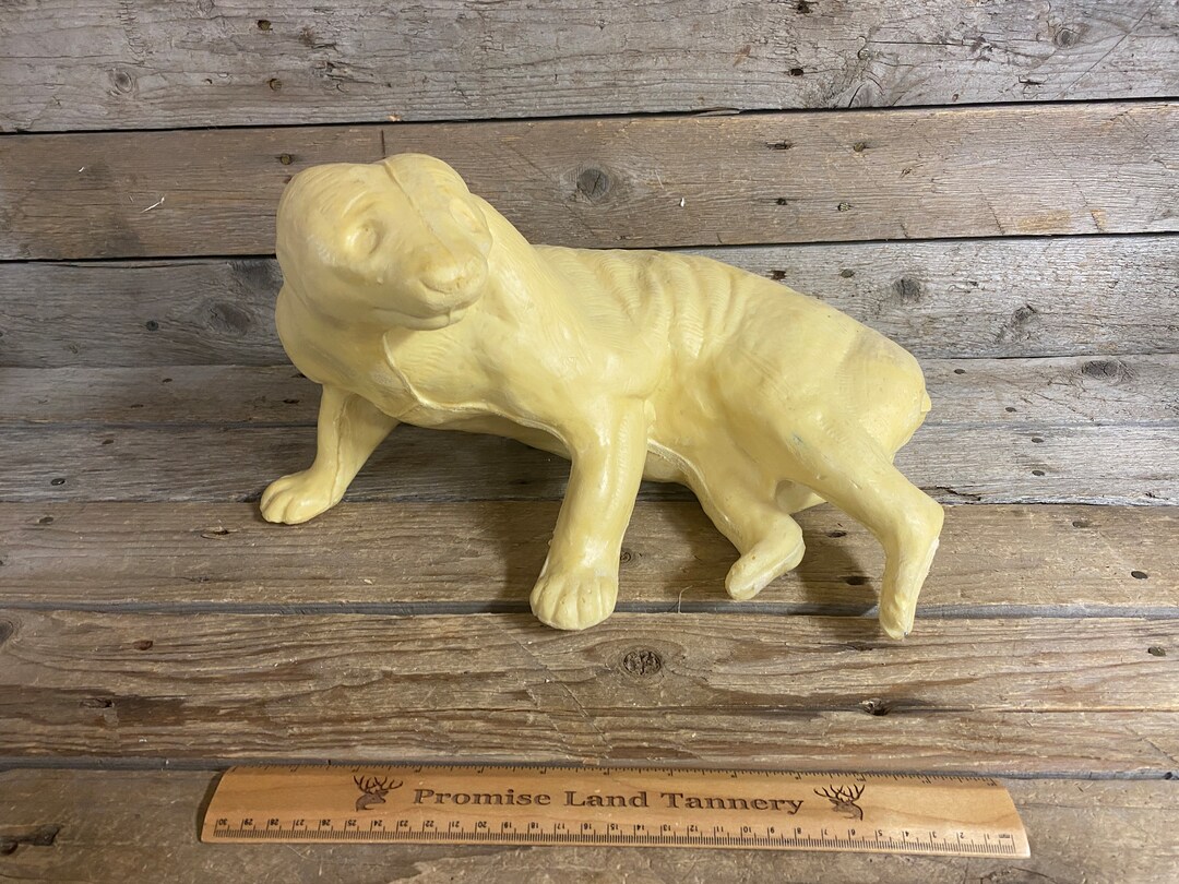 Life Size Badger Form - New Old Stock - Lot 220714-C - Etsy
