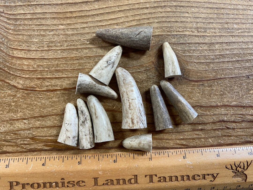 Elk Antler Points - Drilled Your Way - Lot No. 230604-XX - Etsy