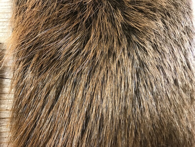 Beaver Hair on Hide Piece Choice of Size Stock No. FUR-39 | Etsy Beaver Hair on Hide Piece Choice of Size Stock No. FUR-39 | Etsy