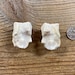 Lot of 2 Fossil Bison Calcaneus Bones Nebraska Lot No. 211028-T - Etsy