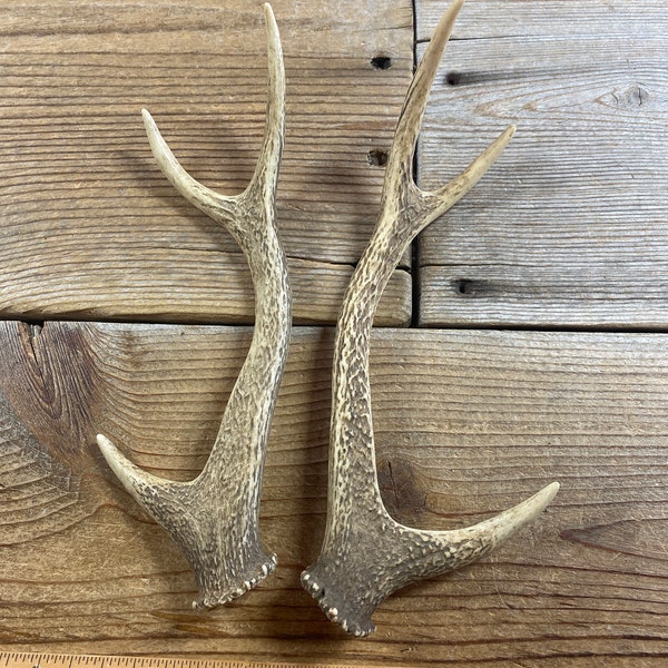 Deer Antler Handle - Etsy