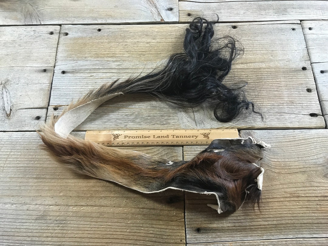 Natural Black and Brown Cow Tail - Tanned - Lot No. 210114-AAA - Etsy