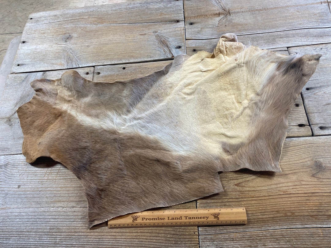 Large Select Kudu Hide Fur Piece - 14" X 24" - Lot No. 220310-K - Etsy