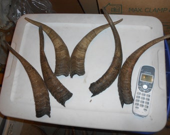 Wearable horns | Etsy