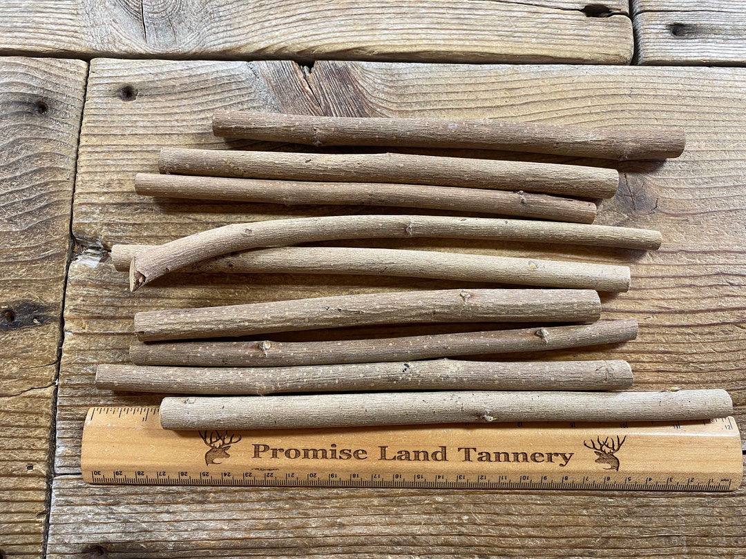 Hazelnut Limb Wood - Bag of 9 Pieces - Medium Diameter Twigs and Sticks ...