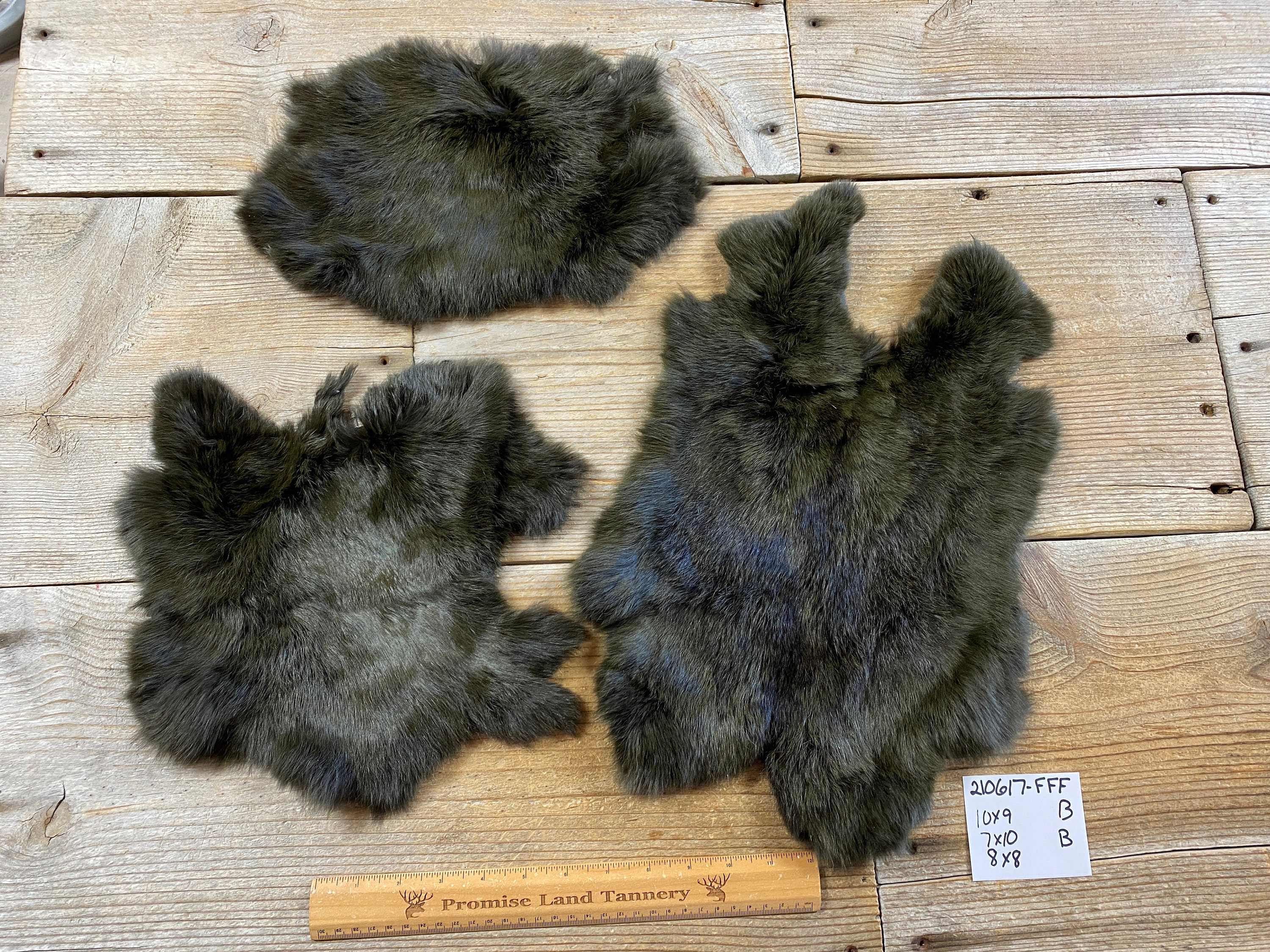 Dyed Olive Green Rabbit Hides Three Average As Shown | Etsy