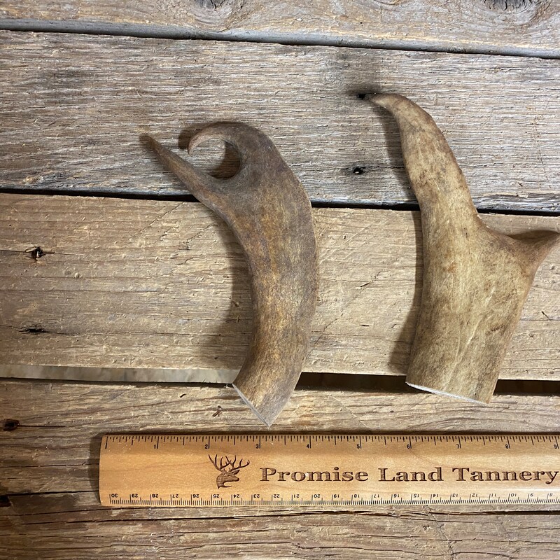 Antler Carving - Etsy