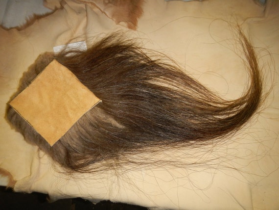 Musk Ox Hide Piece 6 Inches by 6 Inches EXTREME Hair Stock - Etsy