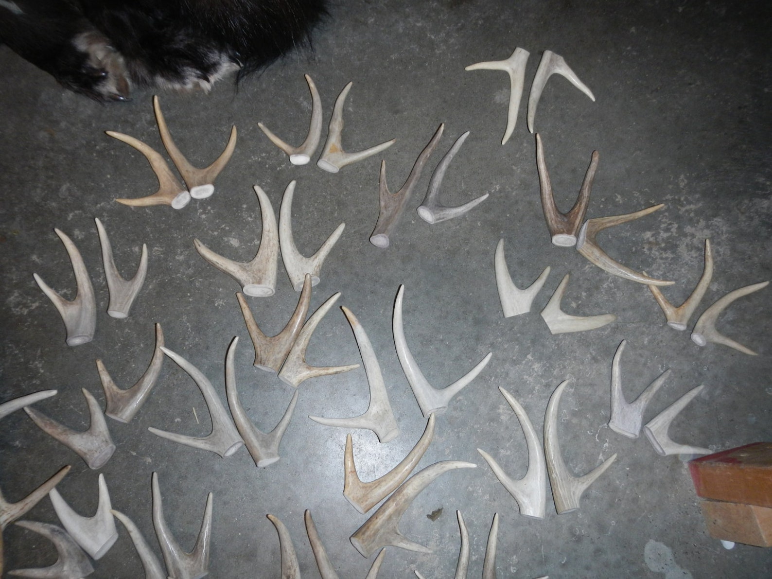 Forked Deer Tines One Assorted Pair Costume Forks | Etsy