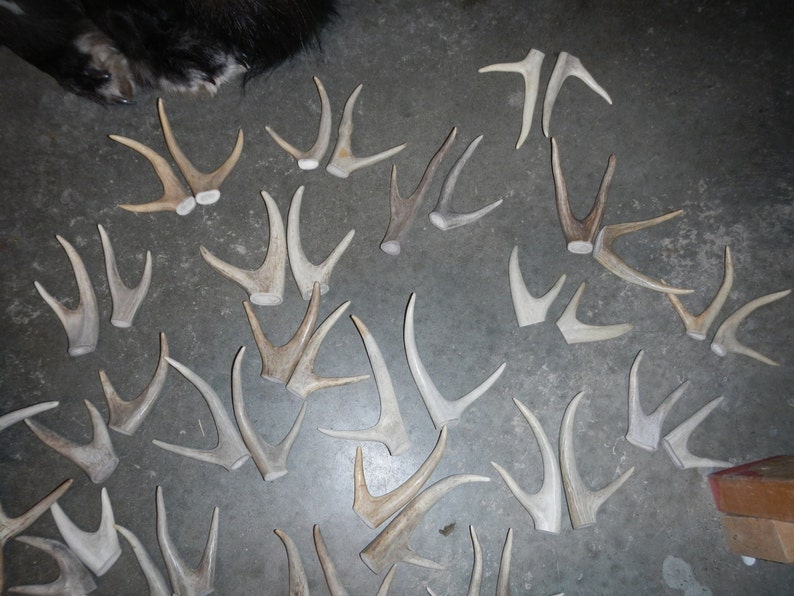 Forked Deer Tines One Assorted Pair Costume Forks - Etsy