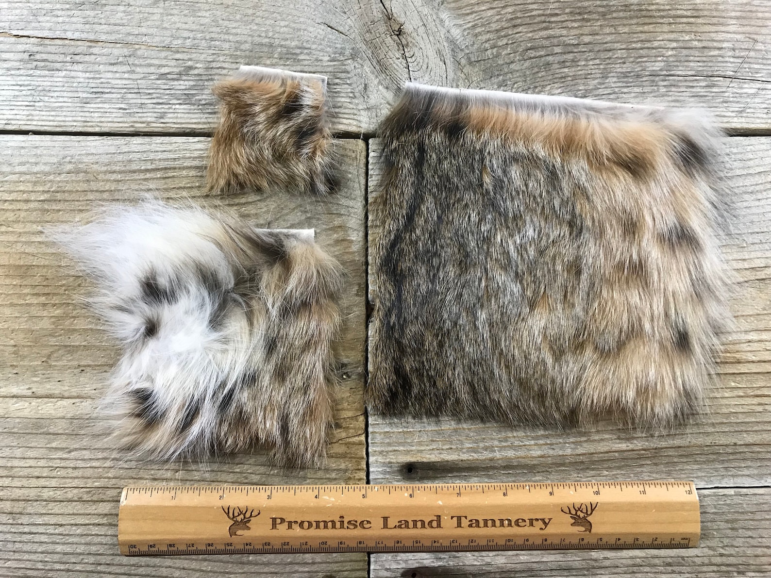 Bobcat Hair on Hide Piece - Choice of Size - Stock No. FUR-34 - Etsy
