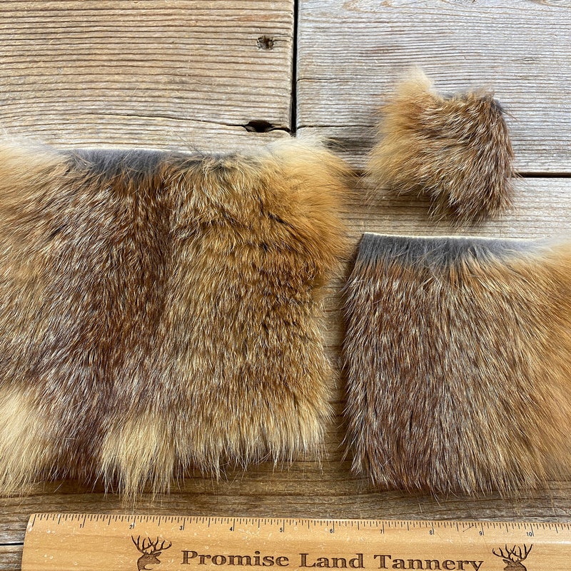 Red Fox Pelt Natural - Etsy