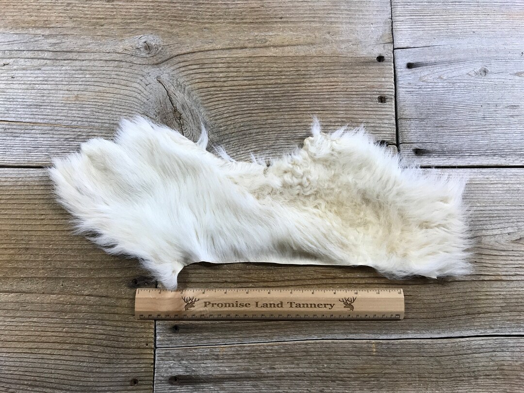 White Calf Hide Fur Piece 6 X 18 Inch Piece Lot No. 210218-AAA - Etsy