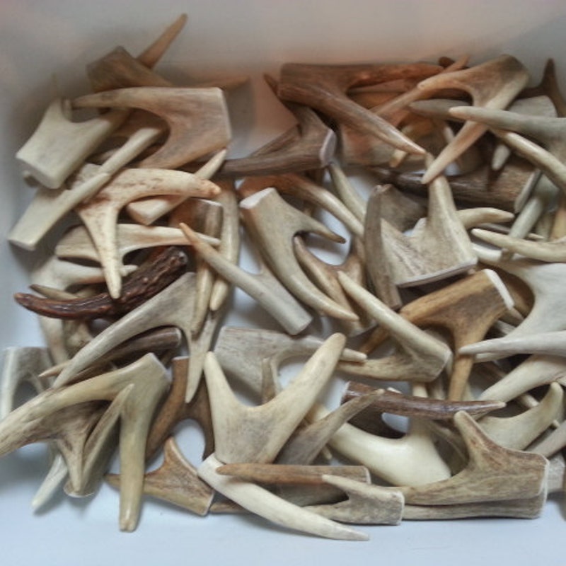 Deer Antler Tips - Etsy