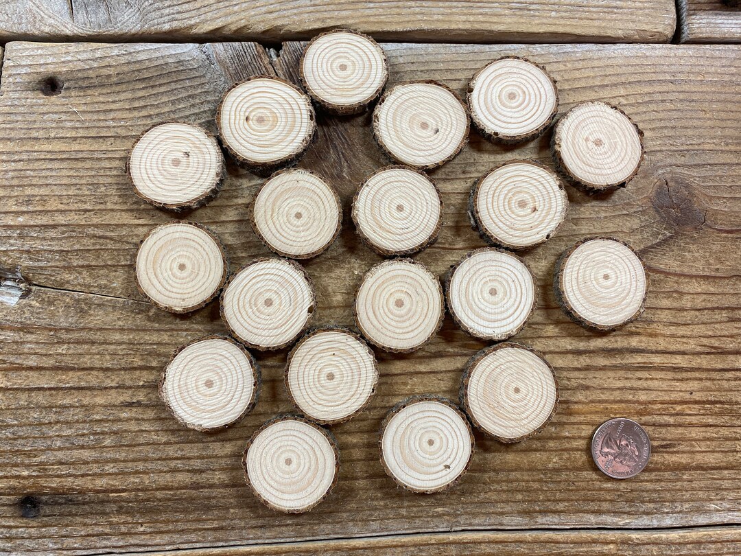 Ponderosa Pine Wood Slices - 19 Extra Large - Lot No. 231228-WW - Etsy