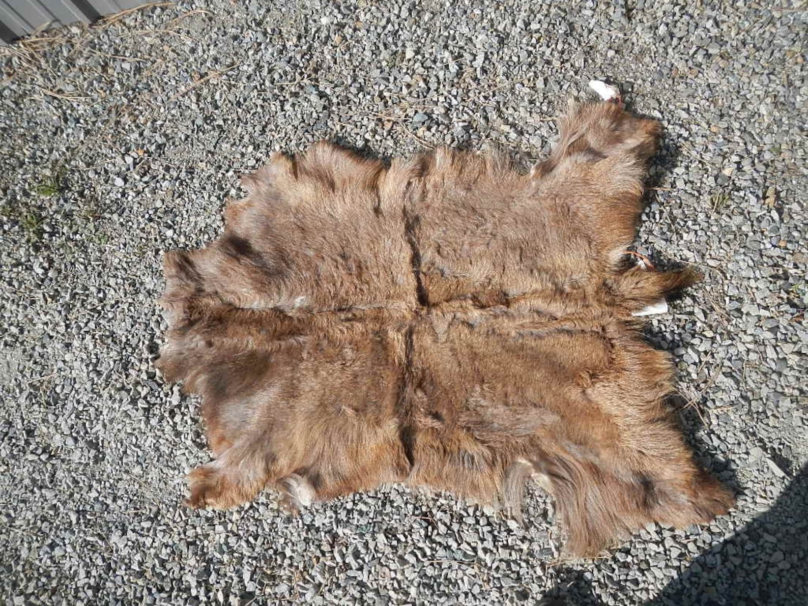 One Average Domestic Goat Hide Hide Soft Tanned Assorted | Etsy