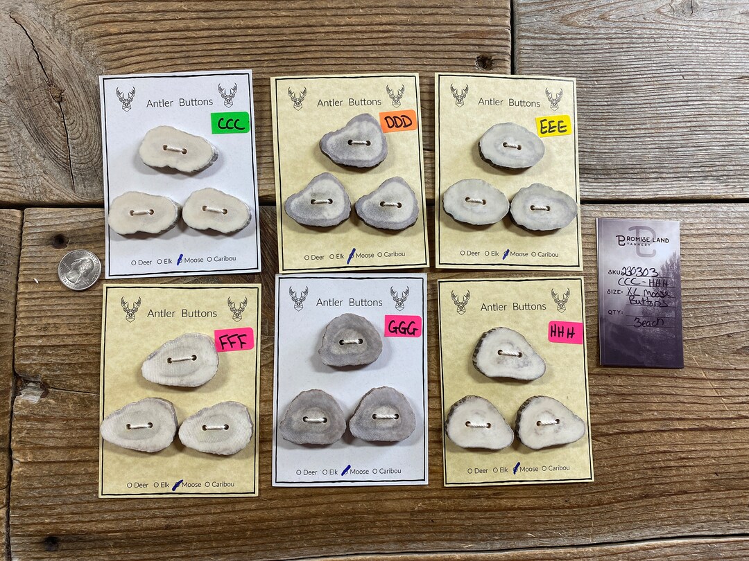 Moose Antler Buttons - Extra -large Buttons - Choice of Card - Lot No ...