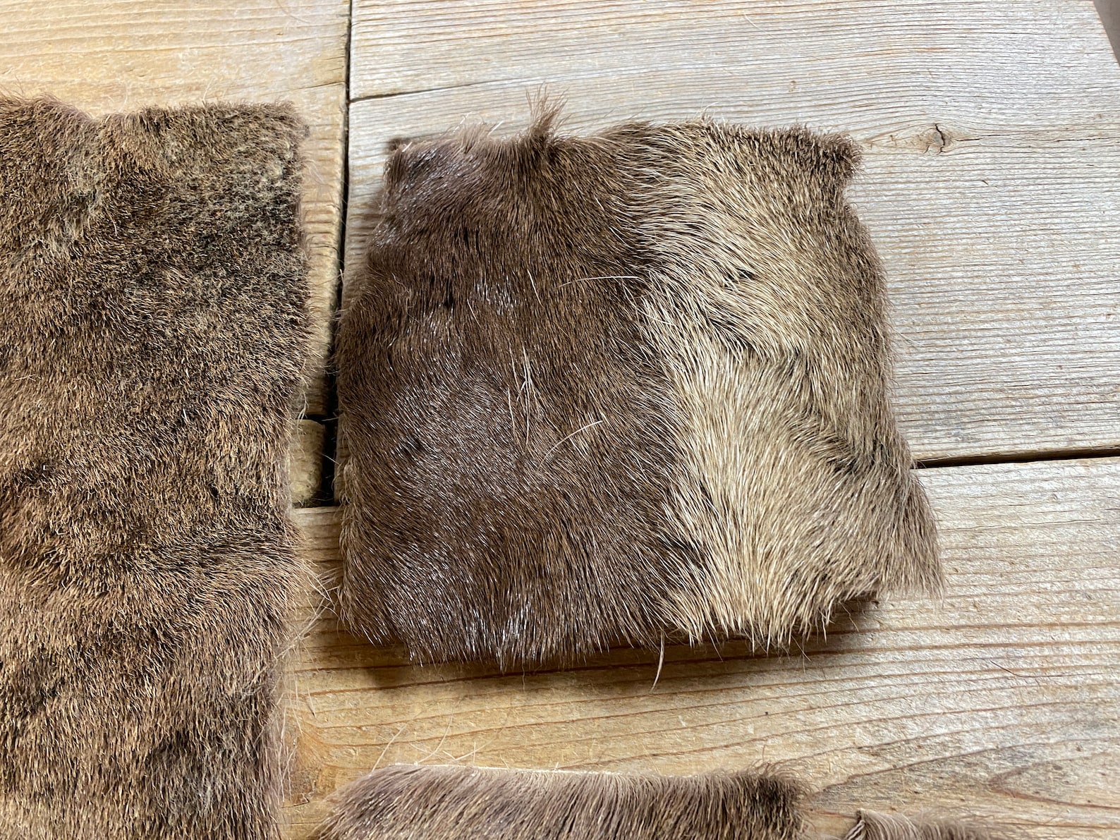 Caribou Hair on Hide Piece Choice of Size Stock No. FUR-18 - Etsy