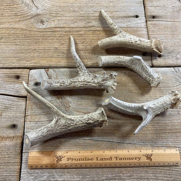 Antler Knife Scale - Etsy