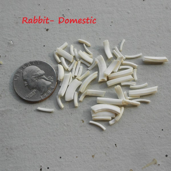 Rabbit Beads - Etsy