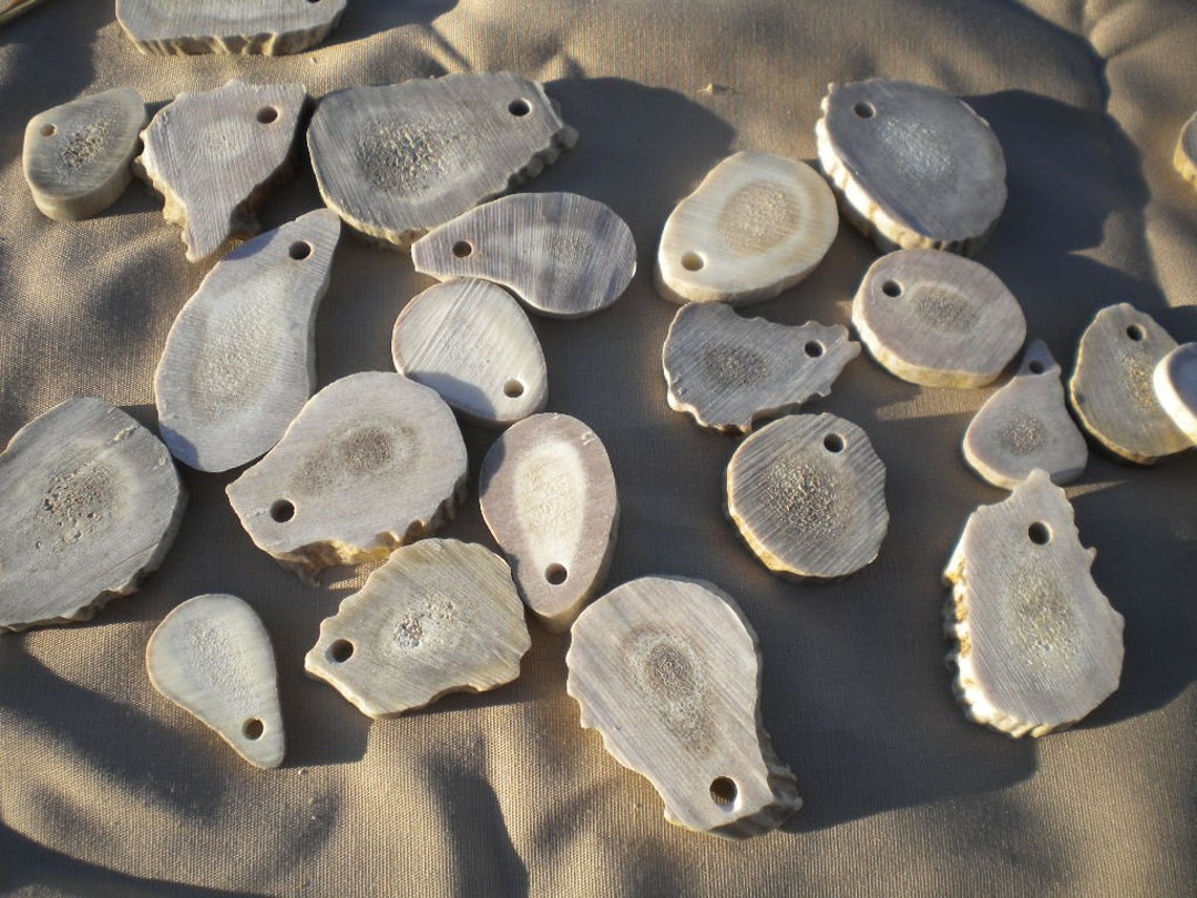 Drilled Deer Antler Slice Pendants Charms Natural, Unfinished 25 Pcs - Etsy