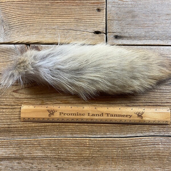 Coyote Tail - Etsy