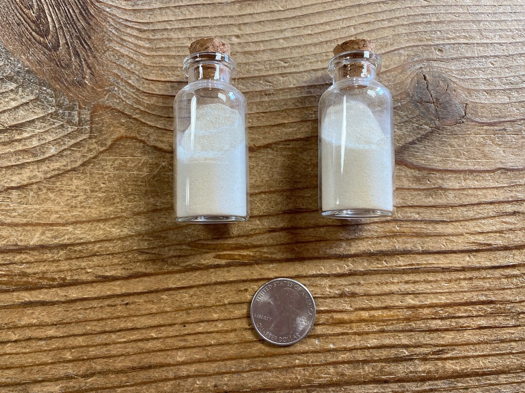 Bone Dust - Muskrat - Vial of 10g of Fine Bone Dust - Stock No 1-706 - Etsy