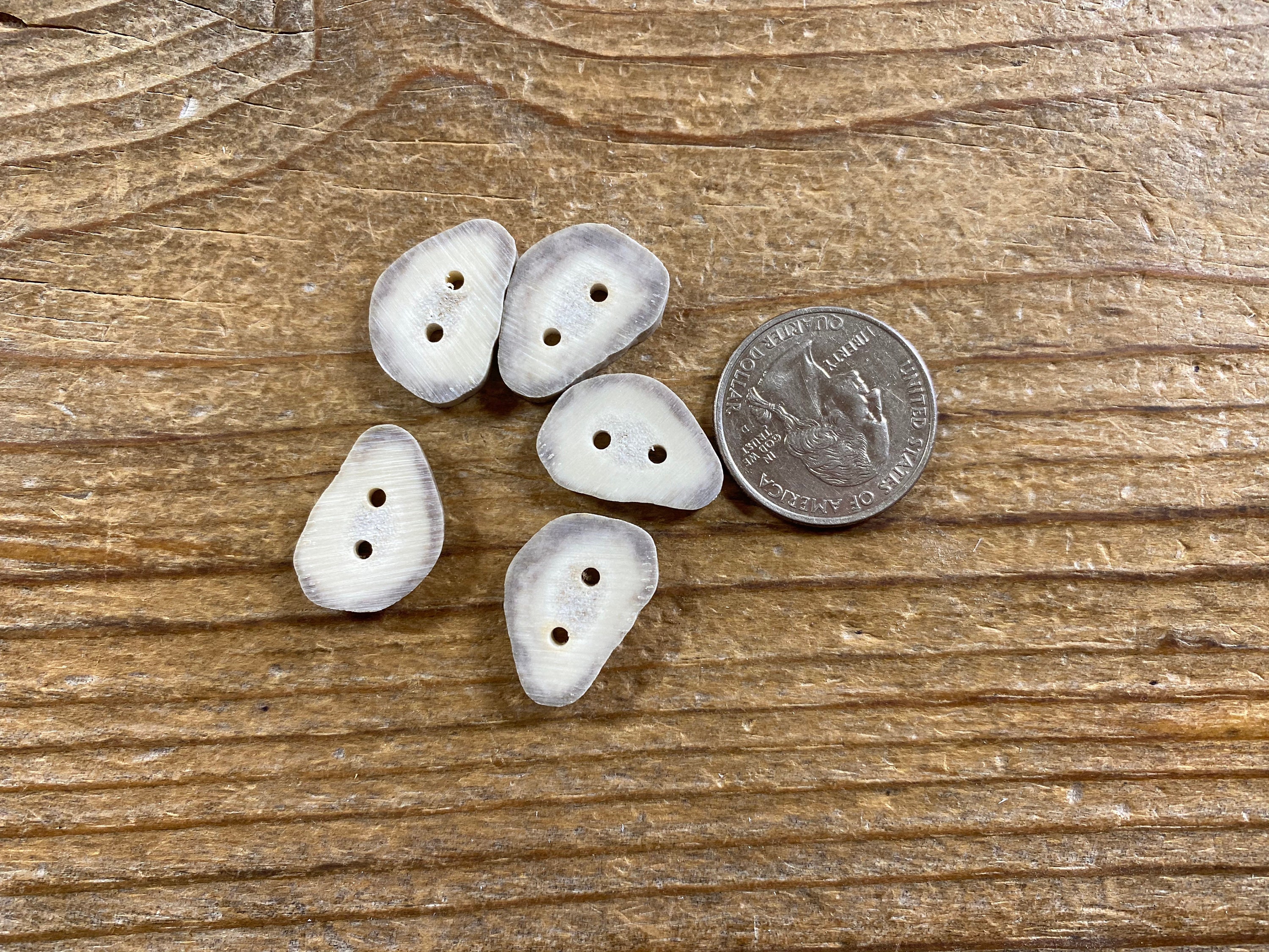 Deer Antler Buttons Set of 5 Medium Matching Buttons Lot | Etsy