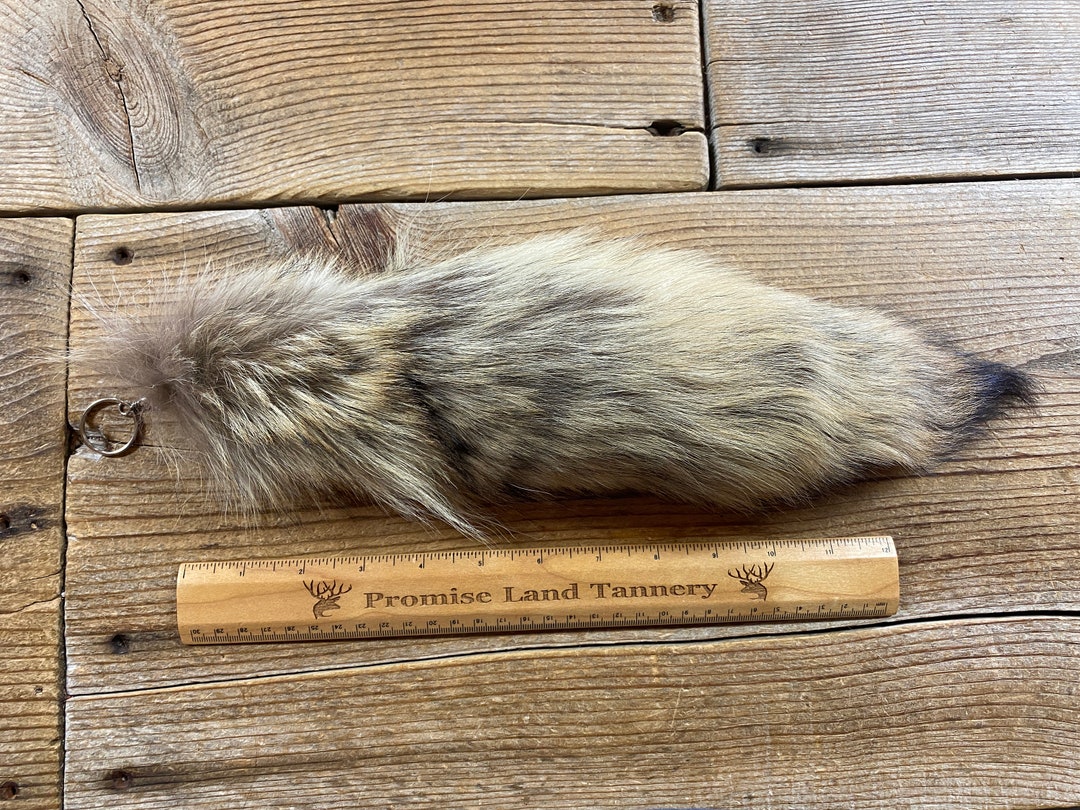 Natural Coyote Tail Key Chain Real Fur Lot No. 240225-I - Etsy