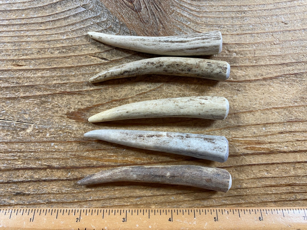Deer Antler Points - Drilled Your Way - Lot No. 210902-PP - Etsy