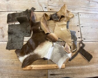 African Animal Hides - Etsy