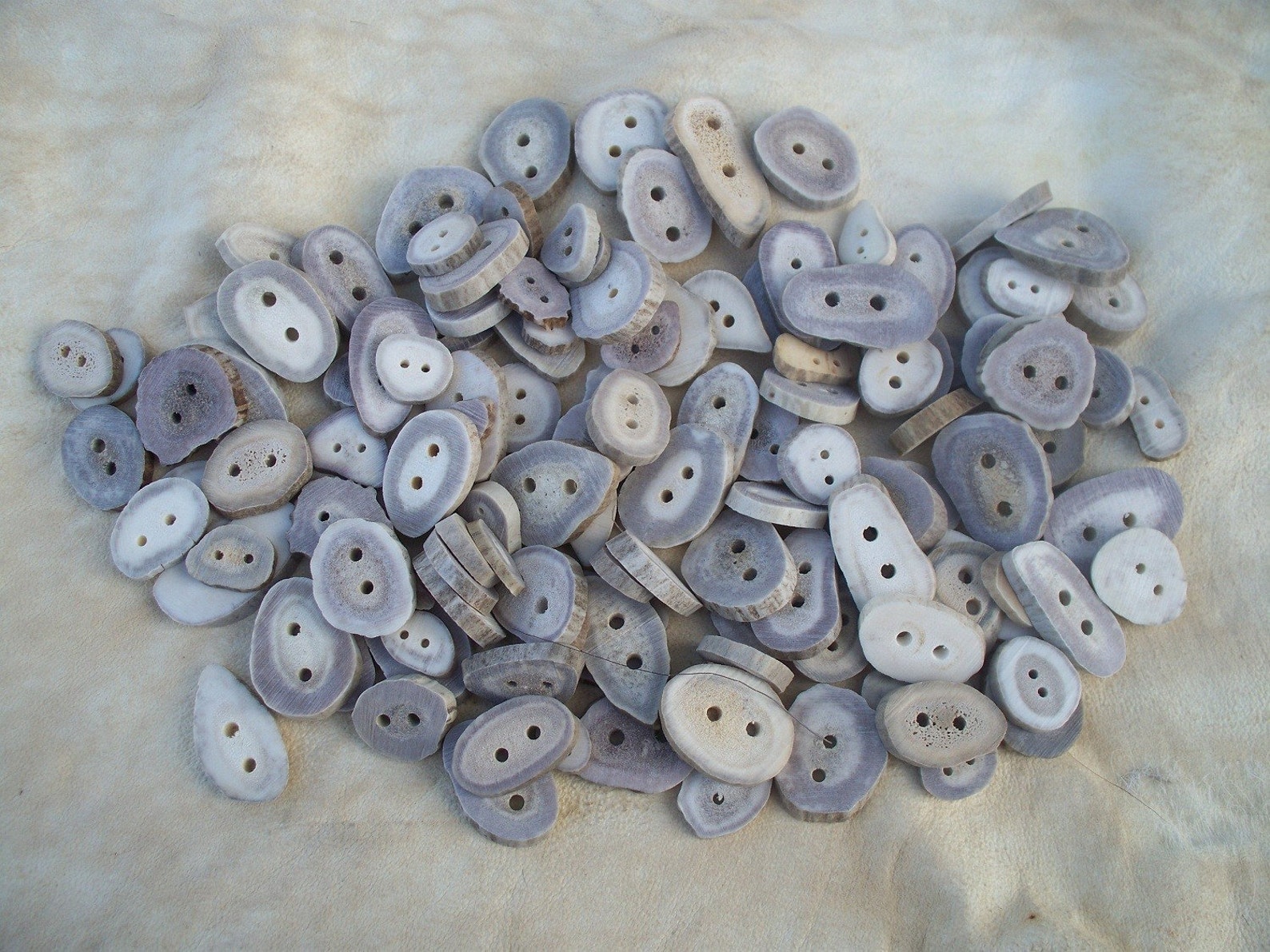 Large Deer Antler Buttons Lot of 25 Pieces Stock No. - Etsy