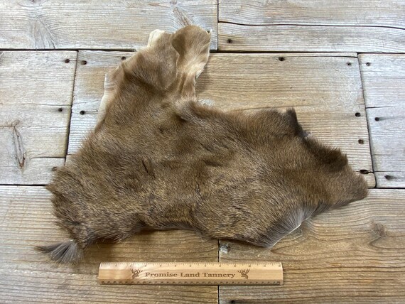 Deer hide store