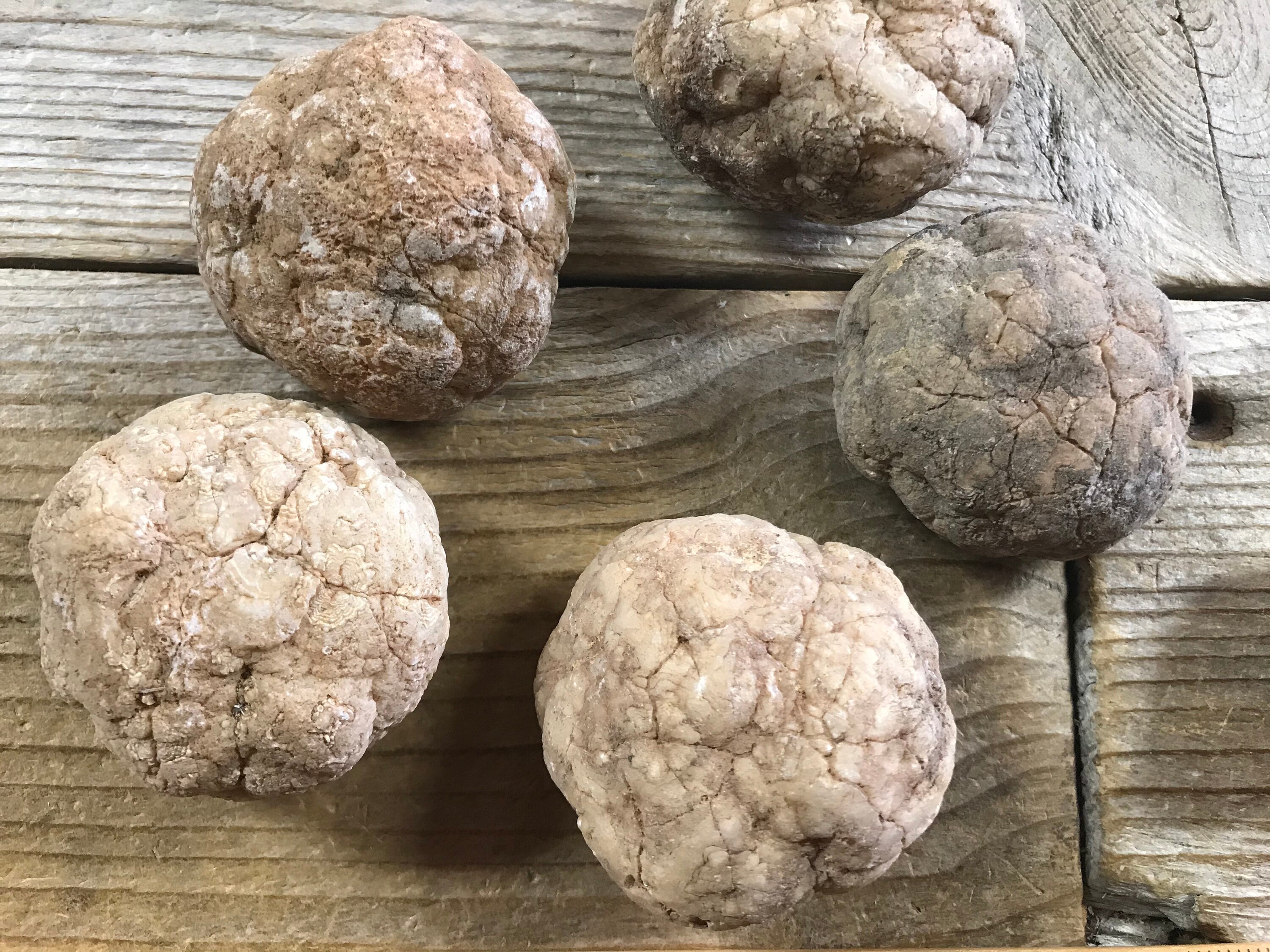 Natural Uncracked Geode Piece 1 Medium Piece Real Crystals | Etsy