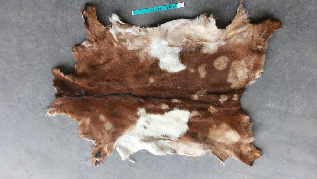 Tri Color Spotted Goat Hide Winter Hair Lot No. 25172TURQ - Etsy
