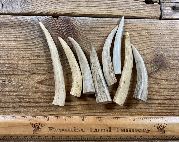 Jumbo Forked Antler Tips or Points 3 Assorted Pieces - Etsy