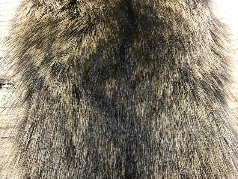 Raccoon Hair on Hide Piece Choice of Size Stock No. FUR-57 | Etsy Raccoon Hair on Hide Piece Choice of Size Stock No. FUR-57 | Etsy
