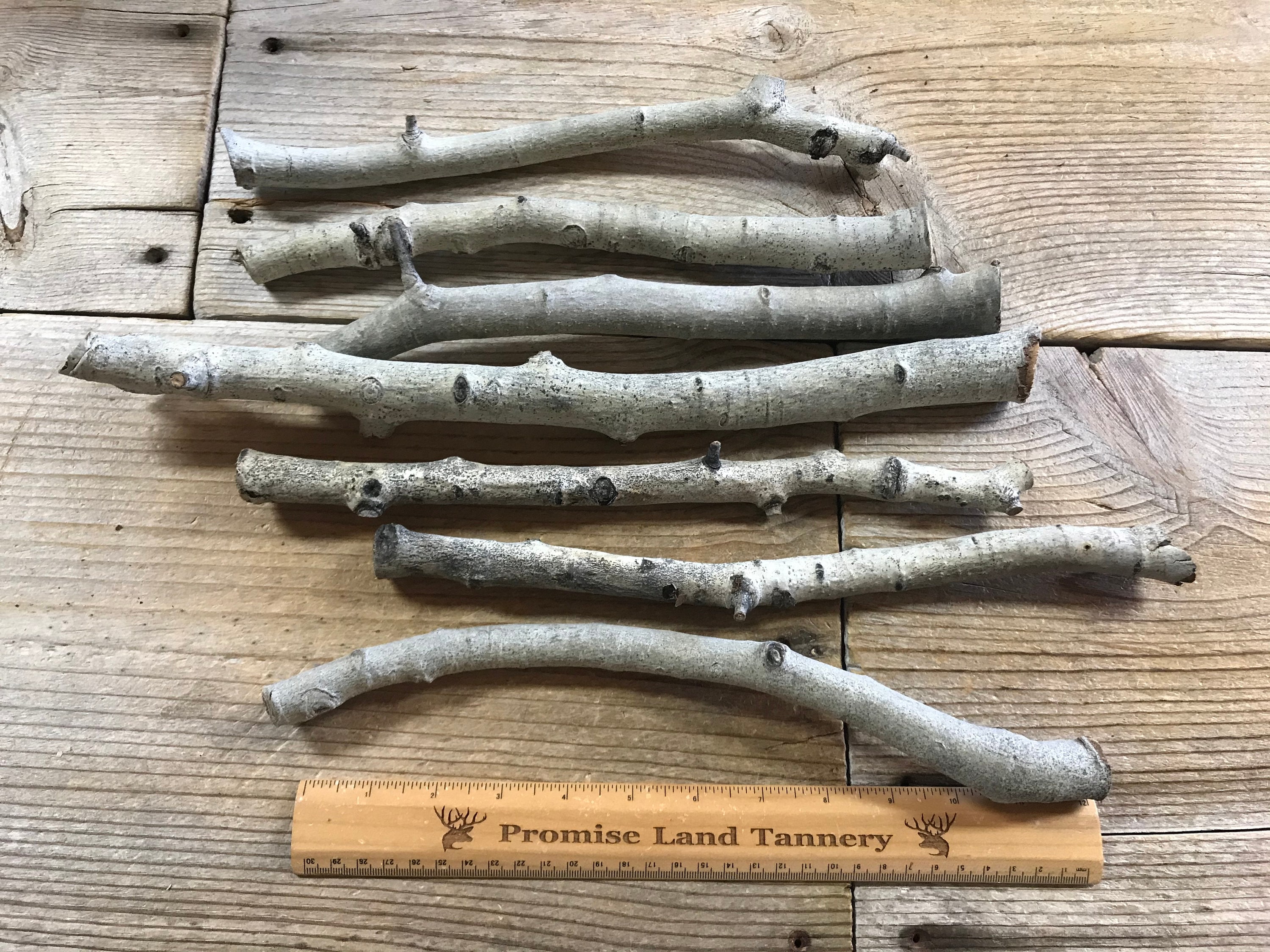 Aspen Limb Wood 12 Medium Stock No. 1-511 | Etsy
