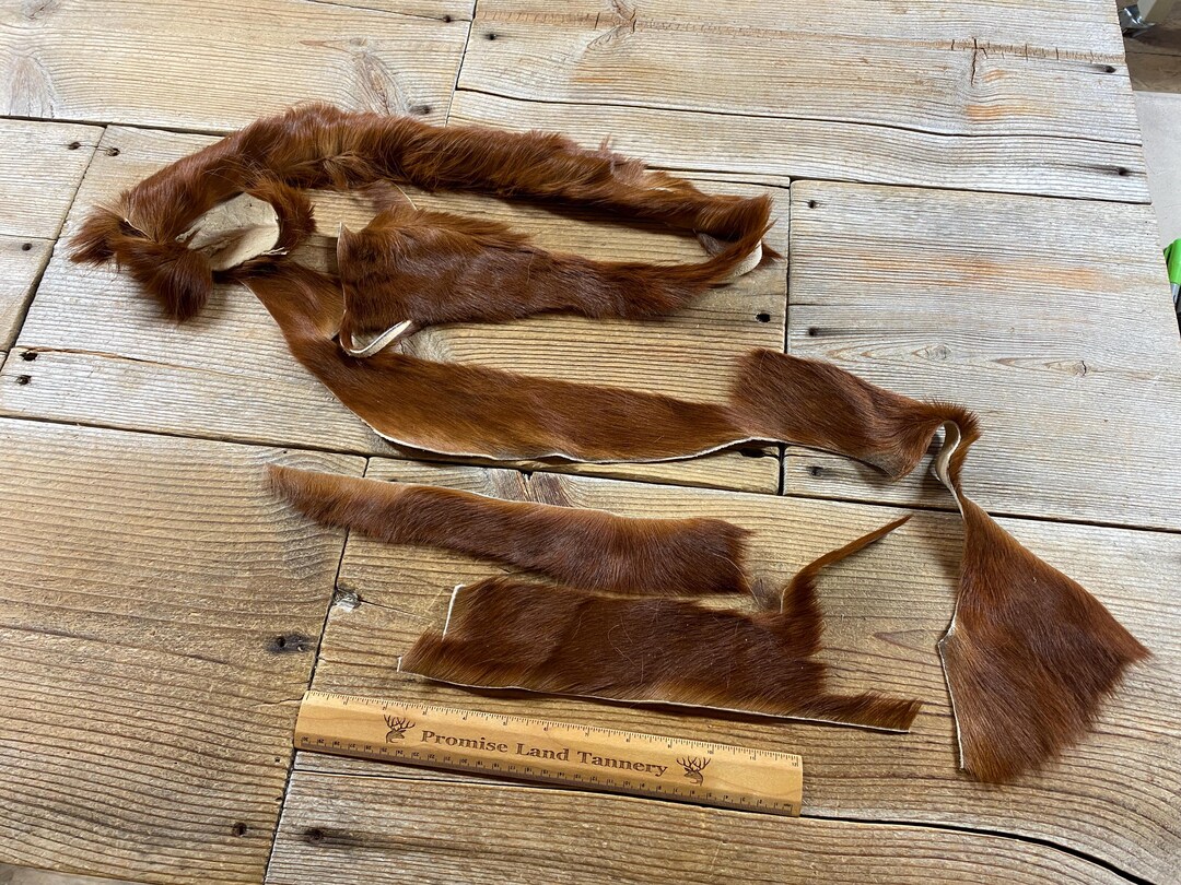Red Horse Hair on Hide Scrap Pieces - Lot No. 240824-NNN - Etsy